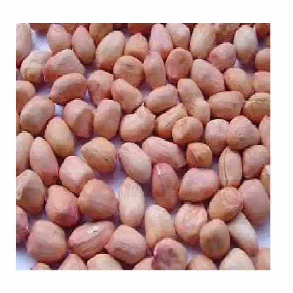 Ground Nuts - Doxakhane Company Limited