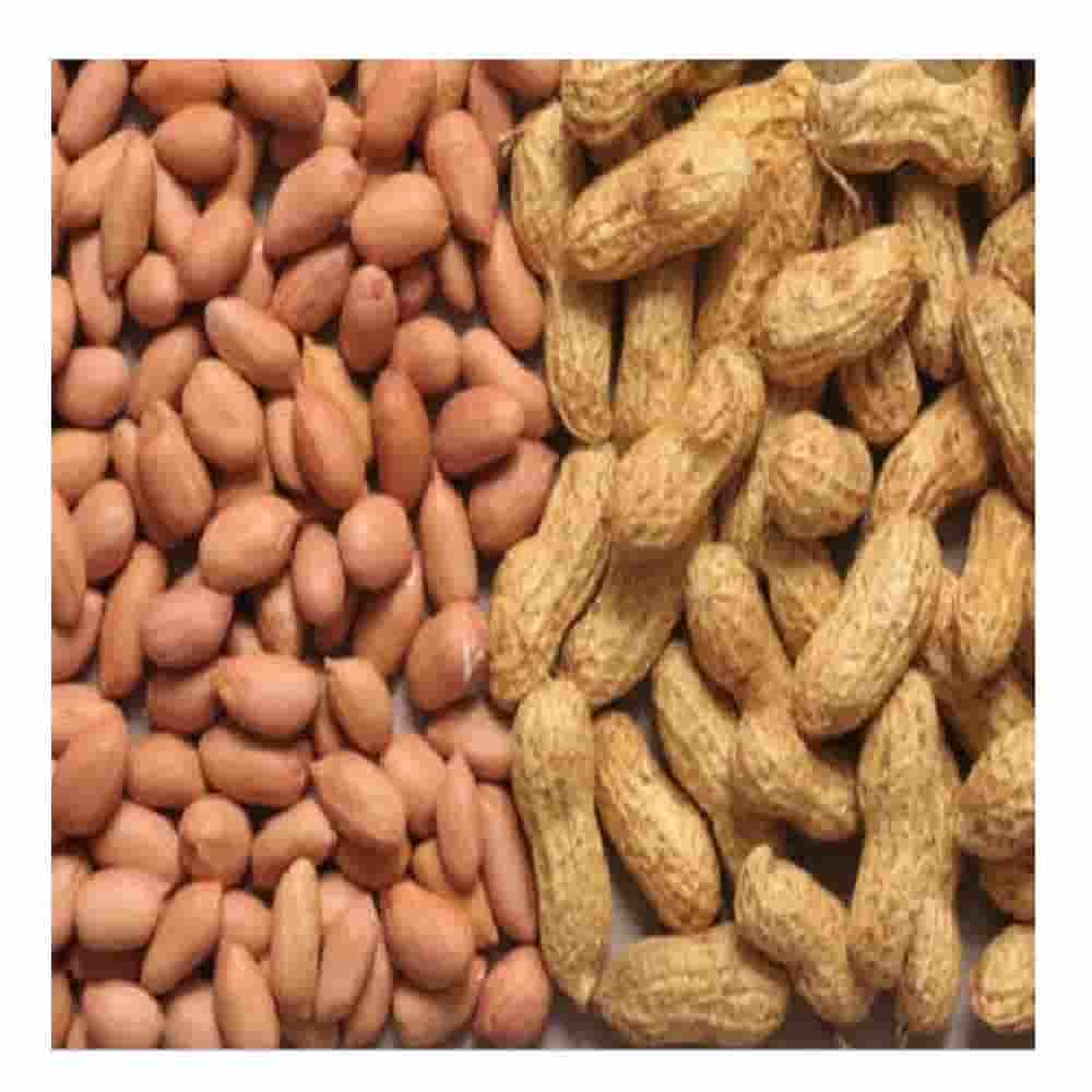 Ground Nuts - Doxakhane Company Limited